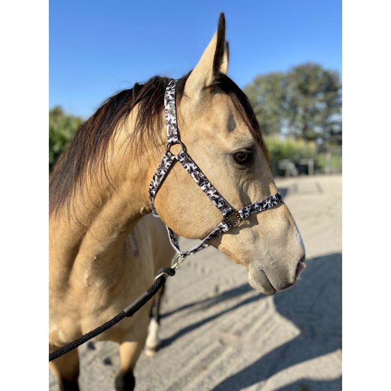 Schulz Equine Nylon Halter Cattle Drive