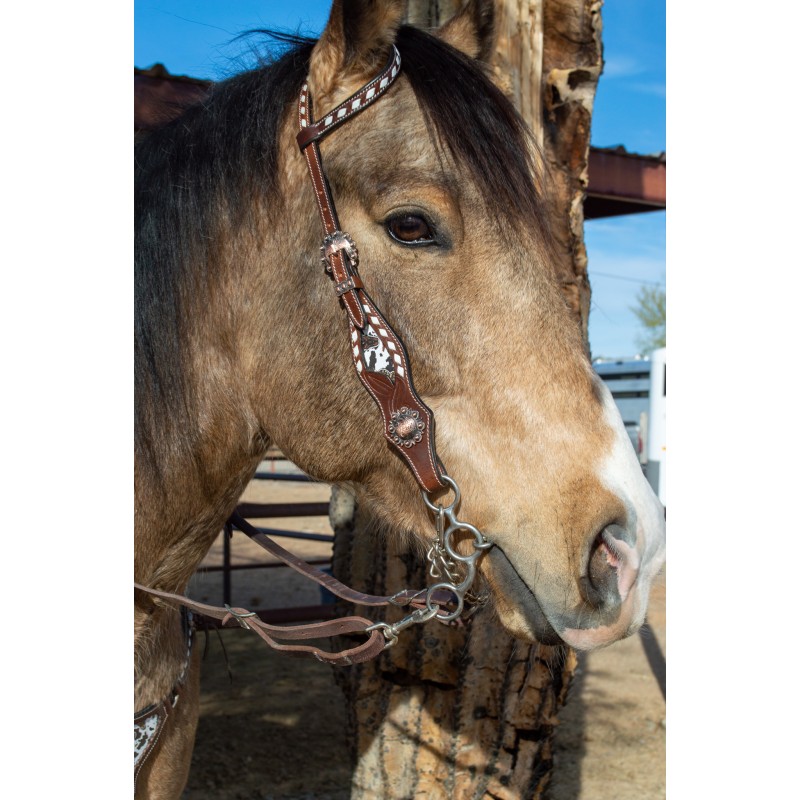 Cattle Drive Headstall and Breast Collar Set