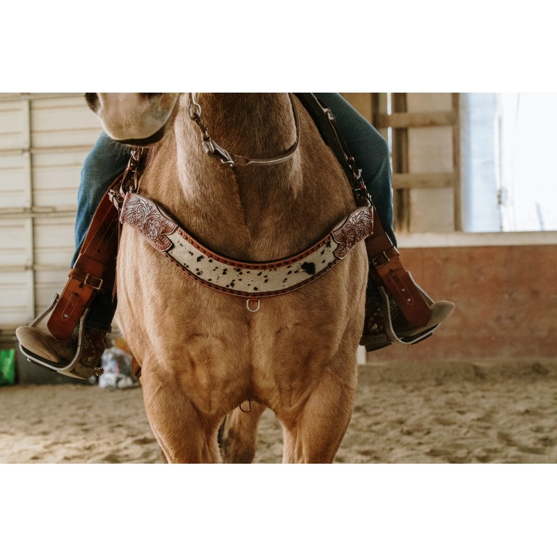 Cow Puncher Tripping Collar