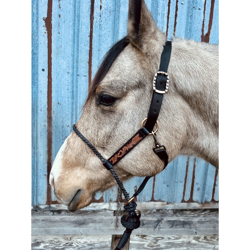 Lariat Nose Halter