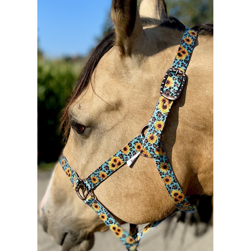 Nylon Halter: Wild Sunflower